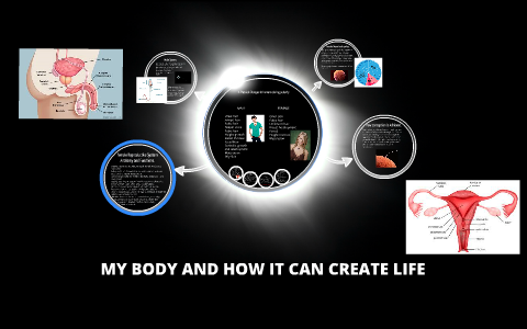 My Body and How it can create life. by Daniel Mangion on Prezi