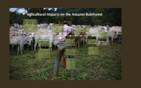 Agriculture Impacts on the Amazon Rainforest by Nathan Warkentin on Prezi