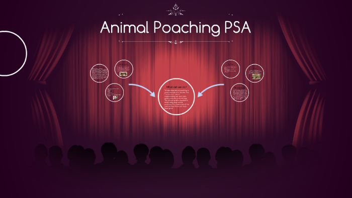 Animal Poaching PSA by Anika Hofmeister on Prezi