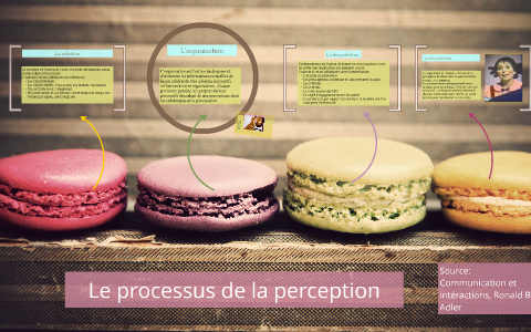 Le processus de la perception by annie papillon on Prezi