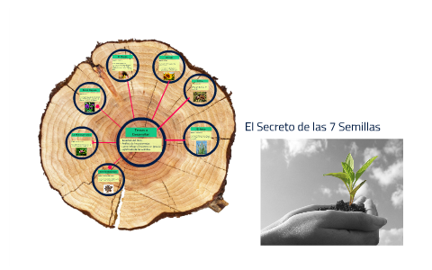 El Secreto de las 7 Semillas by Bastian Albornoz on Prezi