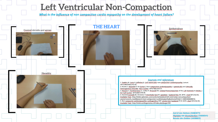Left Ventricular Non-Compaction by Renske den Dekker on Prezi
