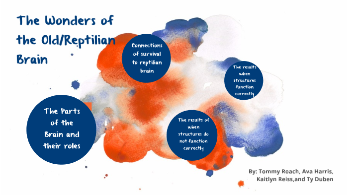 The Wonders of The Old/Reptilian Brain by Tommy Roach on Prezi