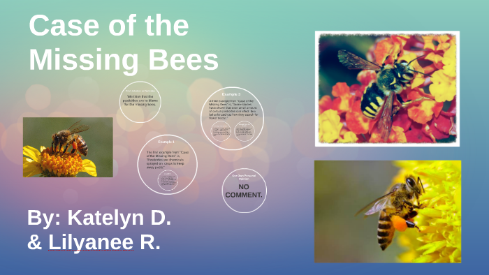 Case of the Missing Bees by Katelyn Deng on Prezi
