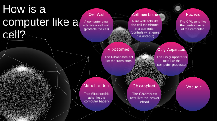 How is a computer like a cell? by ty edwards on Prezi