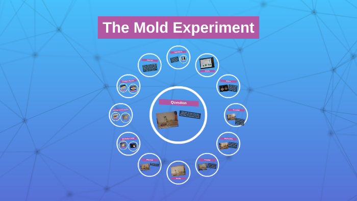 The Mold Experiment by breanna ortega on Prezi