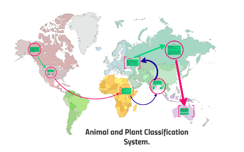 Animal and Plant Classification system. by Jacob Wiggans on Prezi
