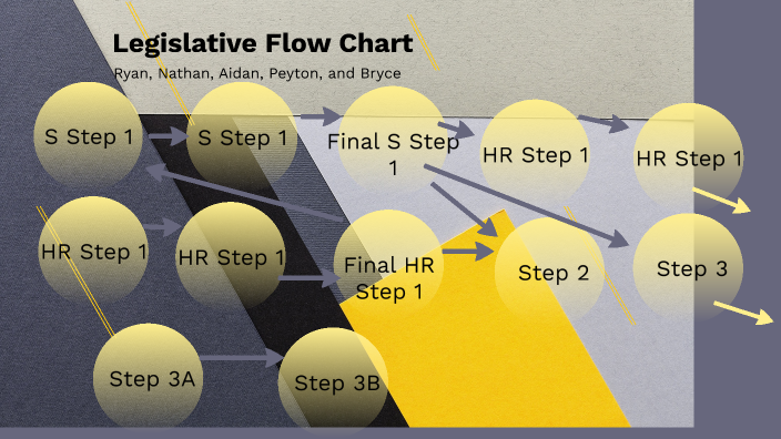 Legislative Flow Chart by Ryan Malinowski on Prezi