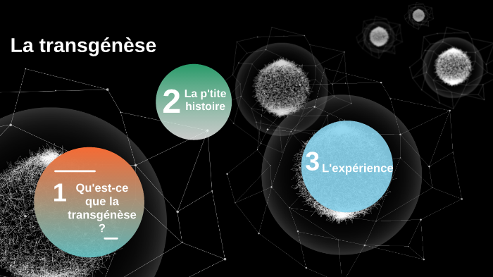 La transgénèse by jeanne LEROY on Prezi