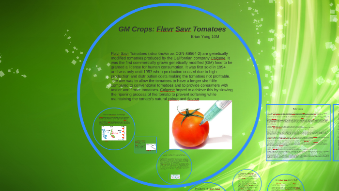 GM Crops: Flavr Savr Tomatoes by Brian Yang on Prezi
