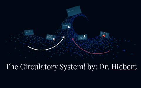 The Circulatory System! by: Dr. Hiebert by Danielle Hiebert on Prezi