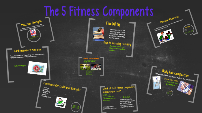 The 5 Fitness Components by Arielle Visalli on Prezi