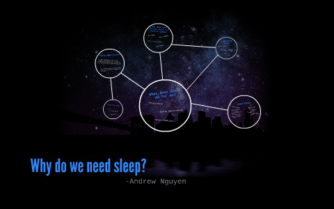 Why do we need sleep? by Andrew Nguyen on Prezi