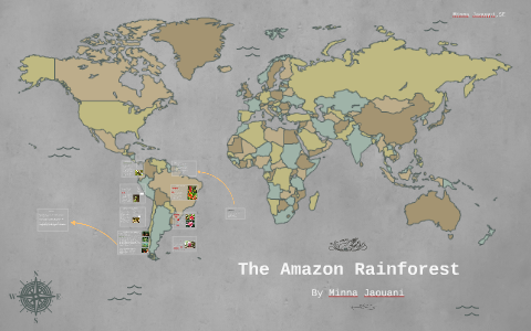 Minna Jaouani 5E The Amazon Rainforest by Minna JJ on Prezi
