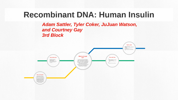 Recombinant DNA: Human Insulin by Adam Sattler on Prezi