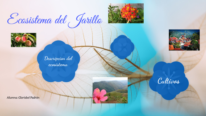 Ecosistema del jarillo by glorisbel padron on Prezi