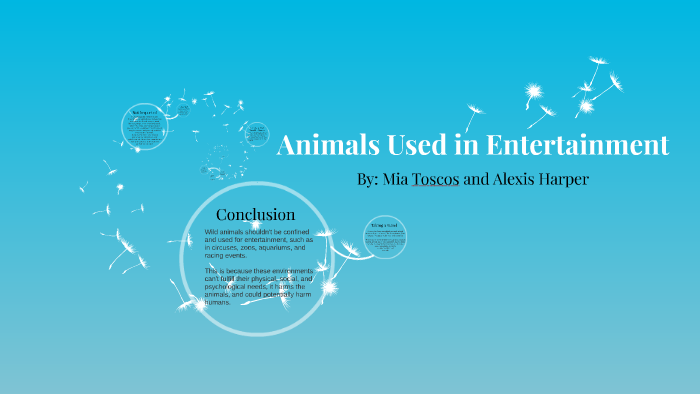 Animals Used in Entertainment by Alexis Harper on Prezi