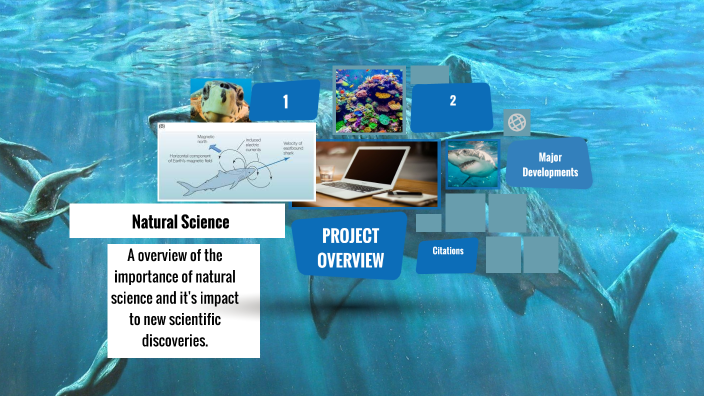 Magnetic Navigation in Sharks by Christine Luckey on Prezi