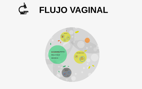 FLUJO VAGINAL by Paula Vega on Prezi