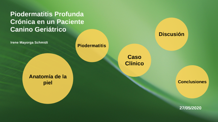 Piodermatitis profunda by Irene Mayorga on Prezi