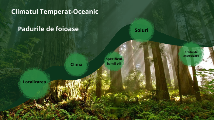 Climatul Temperat-Oceanic by Razvan Stejar on Prezi