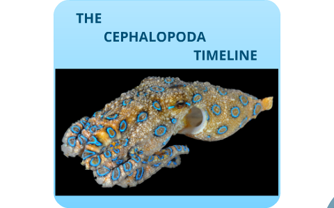 Ryan's Cephalopoda timeline by Ryan Meeks on Prezi