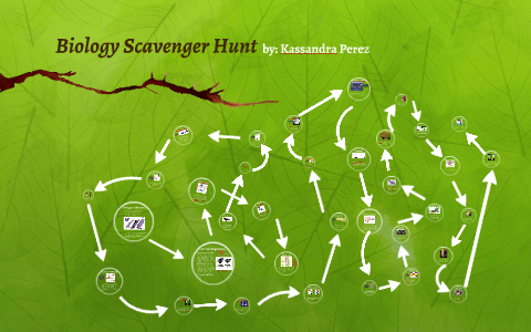 Biology Scavenger Hunt by kassandra perez on Prezi