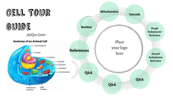 Cell Tour Guide by Ashlyn Greer on Prezi