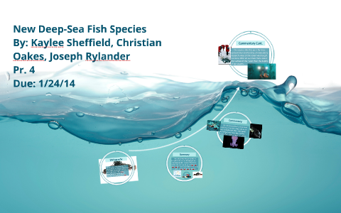 New Deep-Sea Fish by Kaylee Sheffield on Prezi
