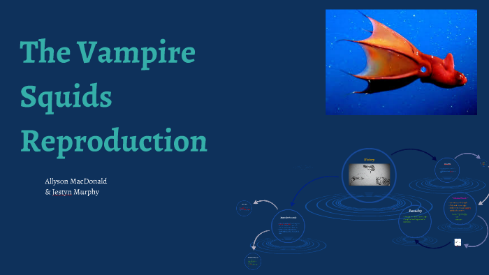 The Vampire Squids Reproduction by allyson MacDonald on Prezi