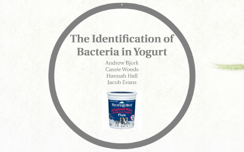 The Identification of Bacteria In Yogurt by on Prezi