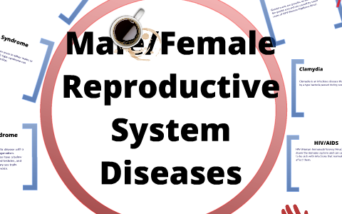 The Diseases of The Male Reproductive System by Barry Andrews Jr. on Prezi