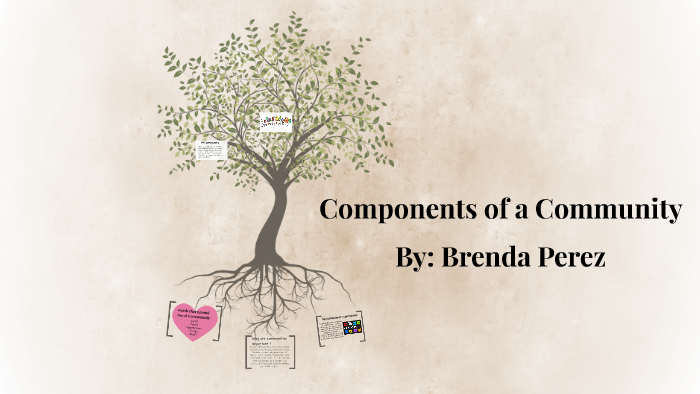 Components of a Community by Brenda Perez