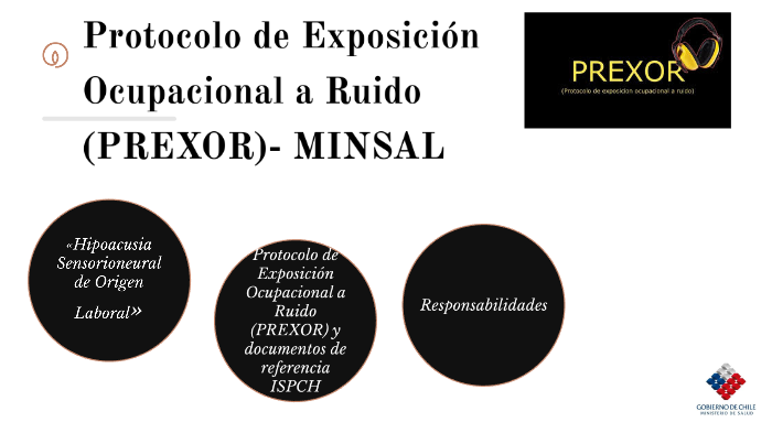 PROTOCOLO OCUPACIONAL DE EXPOSICIÓN A RUIDO PREXOR by Veronica Paz on Prezi