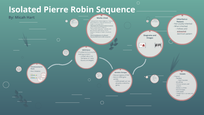 Isolated Pierre Robin Sequence by Micah H. on Prezi