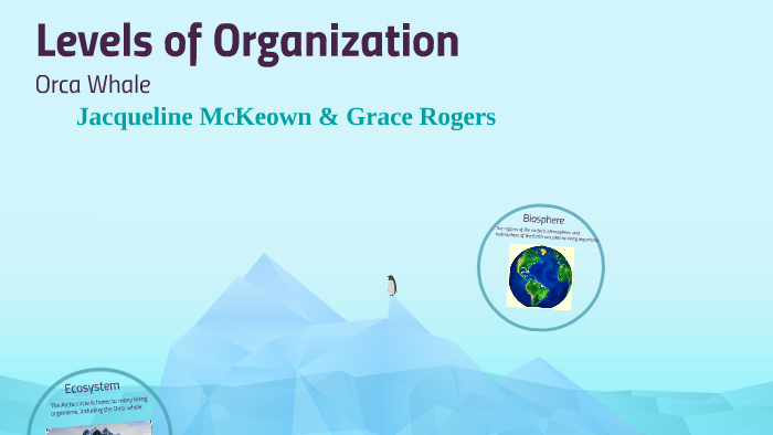 Orca Whale-Levels of Organization by Grace Rogers on Prezi