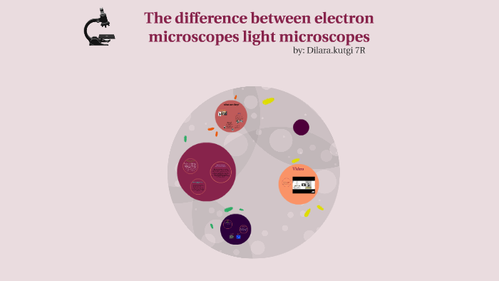 what is an electron microscope by dilara kutgi