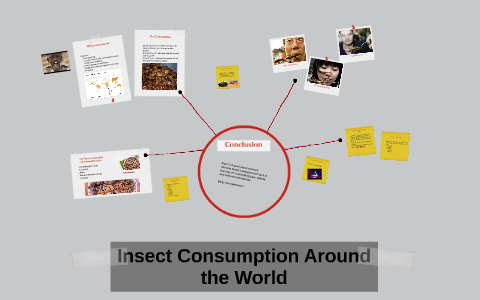 Insect Consumption Around the World by Nicholas Massa on Prezi
