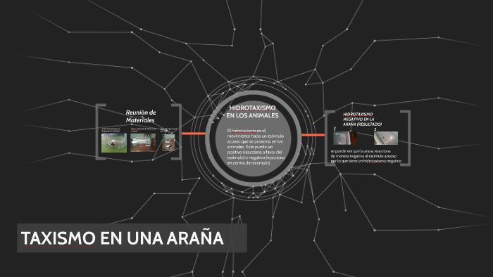 TAXISMO by hipolito infante on Prezi