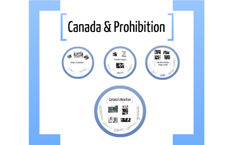 Prohibition in the 1920's by Lee McDaid