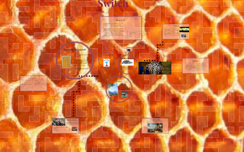 Hive Switch by Heather Goodson on Prezi