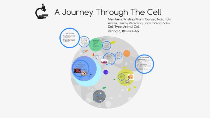 Journey Into a Cell by on Prezi
