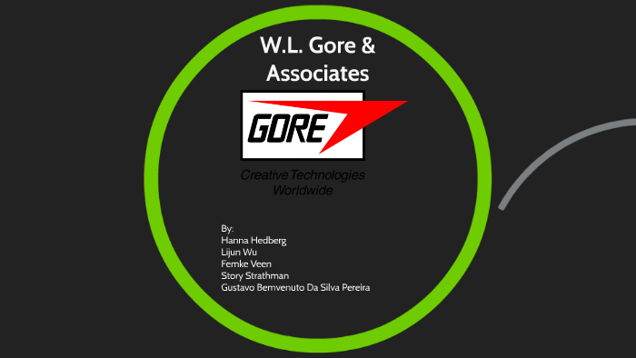 W.L. Gore & Associates by Femke Veen