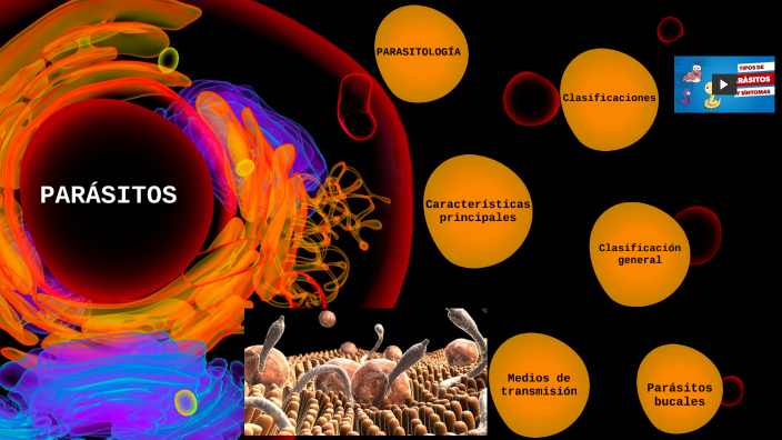 PARÁSITOS by SERGIO CARVAJAL on Prezi
