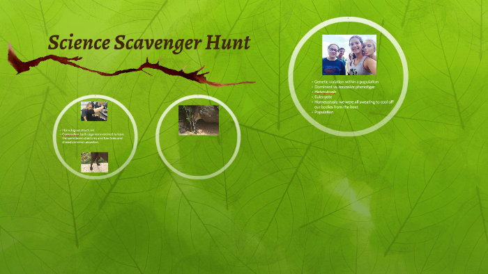 Science Scavenger Hunt by Rowan Lambert on Prezi