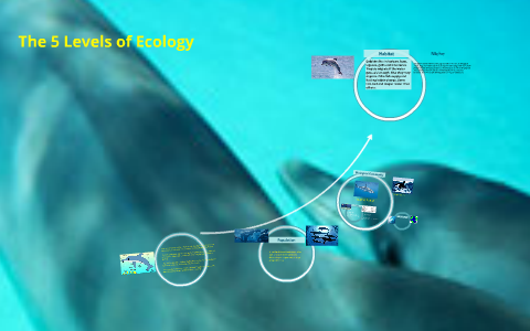 The 5 Levels of Ecology by Sojourner Graves on Prezi