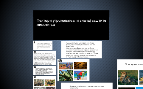 Фактори угрожавања и значај заштите животиња by Dunja Markovic on Prezi