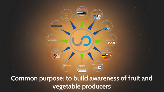 Common purpose: awareness by Łukasz Wypych on Prezi