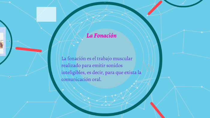 La Fonacion Y Aparato Fonador by yoenis patricia castro otero on Prezi