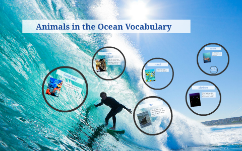 Animals in the Ocean Vocabulary by Jodie Witzel on Prezi